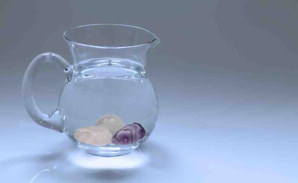 Brocca in crescita: per saperne di più sulla cura della brocca - Il ...