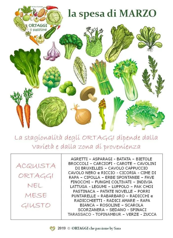 Giardinaggio stagionale: una guida alla coltivazione di verdure ...