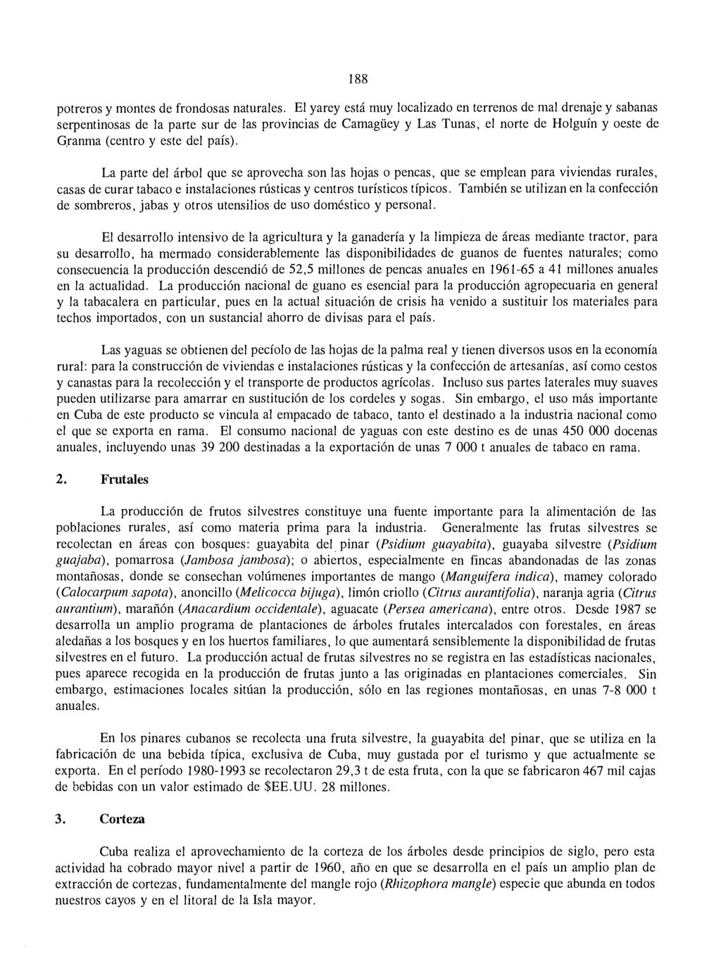 Cura della pianta Caesalpinia spinosa, Huarango o Tara - Il Giardino ...