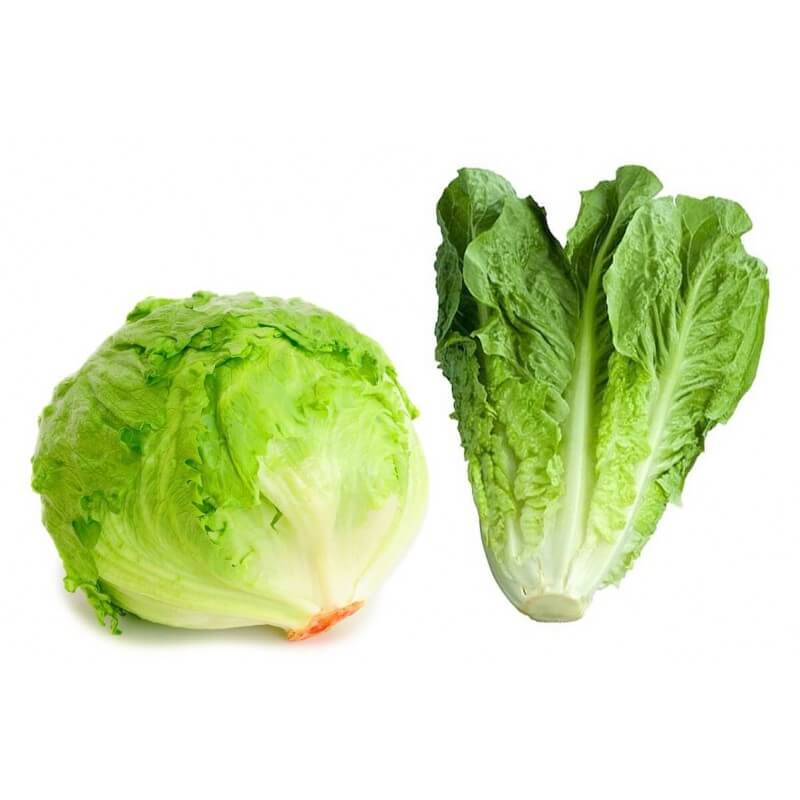 Lattuga - Il Giardino Commestible